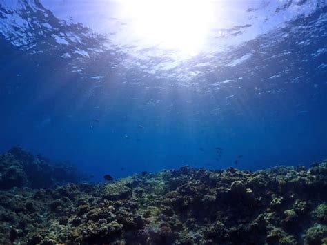 Ishigaki Okinawa Foto Foto Foto Stok Potret And Gambar Bebas Royalti