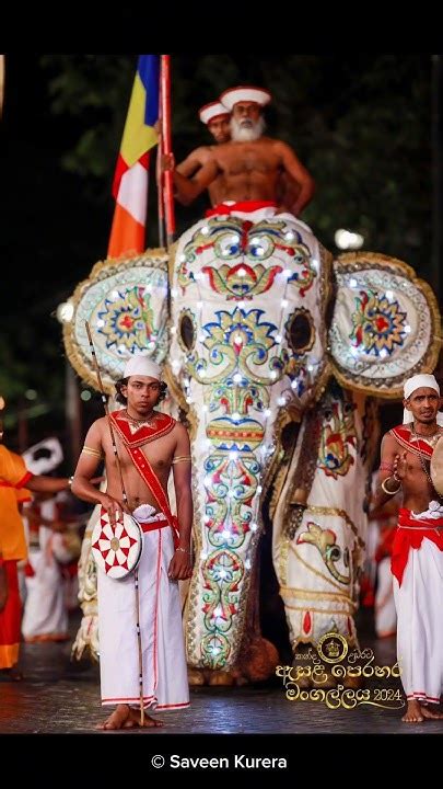 කන්ද උඩරට ඇසළ පෙරහැර 2024 අවසන් මහා රන්දෝලි පෙරහර ️🍂🙏🏻 Like