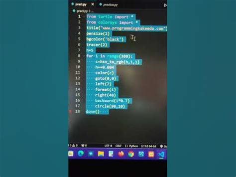 Python turtle graphics 3d Animation| Python Programming - YouTube