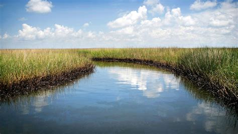 National Commission On The Bp Deepwater Horizon Oil Spill And Offshore