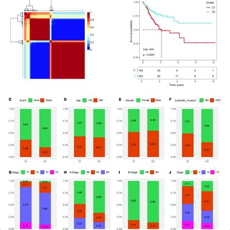 Identification Of Molecular Subtypes Of Colon Cancer A NMF