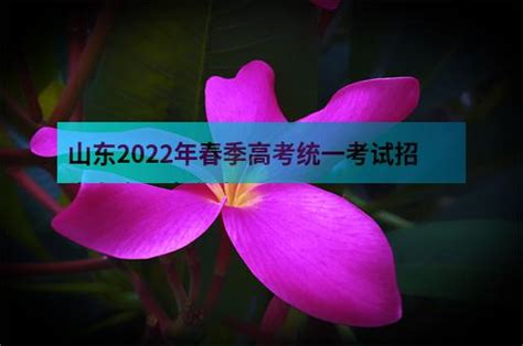 山东2022年春季高考统一考试招生有多少专业类别 职教网