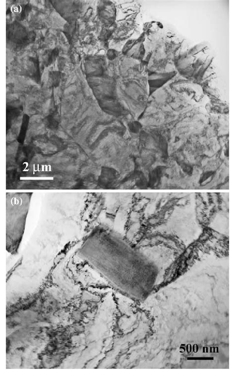 Bright Field Tem Micrographs Of Trip 780 After Tensile Deformation To Download Scientific