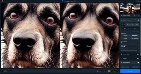 Topaz Photo Ai V2 0 4 Releases Topaz Community