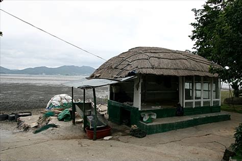 갯벌을 바라본 초가 지붕은 풀을 얻었지만 벽은 창문을 오마이포토