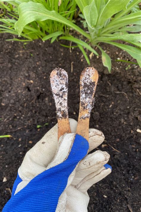 Does Your Soil Pass The Underwear Test