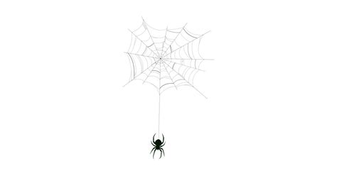 Spider Spider T Shirt Teepublic