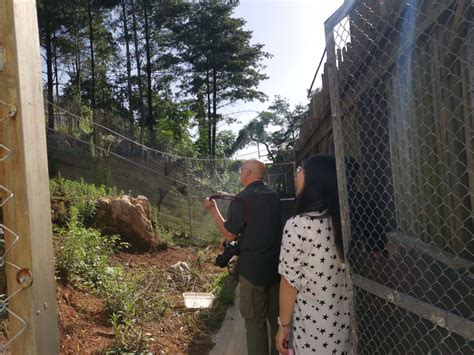 林麝养殖 林麝养殖基地 林麝养殖场 林麝养殖加盟 四川林麝 广元春山生态农业 新闻中心 林麝养殖 林麝养殖基地 林麝养殖场 林麝养殖