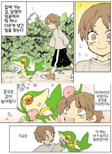 어릴적 습관이 남아있는 포켓몬 Pokemon Pokemon Art Comics