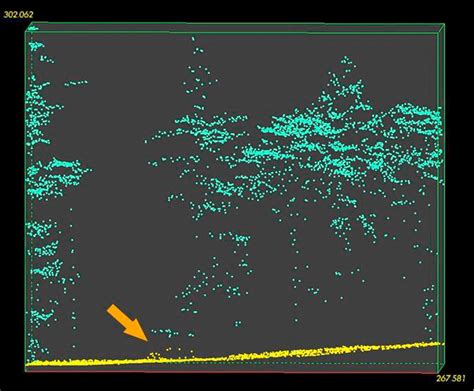 Results Of The Automatic Classification Vegetation Incorrectly