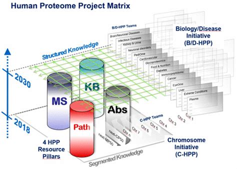 The 2022 Report On The Human Proteome From The Hupo Human Proteome