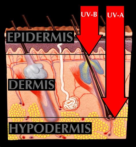 Uv Uva Uvb Spf