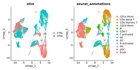 Analysis Visualization And Integration Of Visium Hd Spatial Datasets With Seurat • Seurat