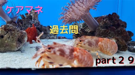 【part29】ケアマネ 過去問 保健医療サービス分野 Youtube