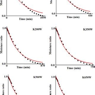Fitting Of The Diffusion Model With Boundary Condition Of The Third Download Scientific Diagram