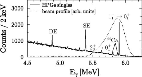Singles γ Ray Spectrum Of The Hpge Detectors For The Measurement On Download Scientific Diagram
