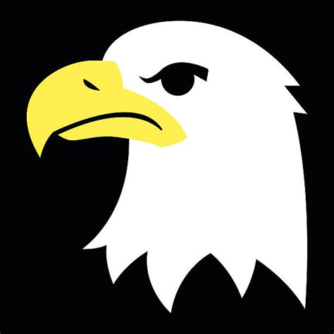 Best Eagle Eye Illustrations Royalty Free Vector Graphics And Clip Art