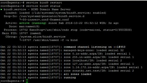 cara mengatasi error dns server bind linux debian zona ngeblog