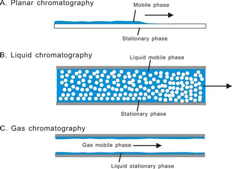 Chromatography Stationary And Mobile Phase