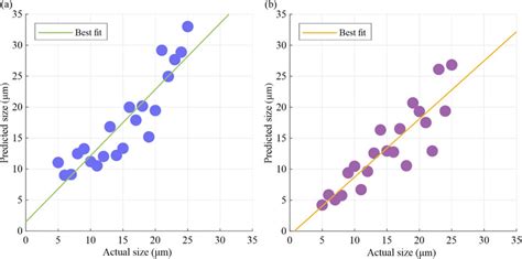 Capability Of The Trained Neural Networks To Determine The Size Of The