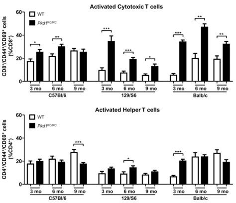 Cd8 T Cells Are Predominantly Activated In The Pkd1 Rc Rc Mouse Model