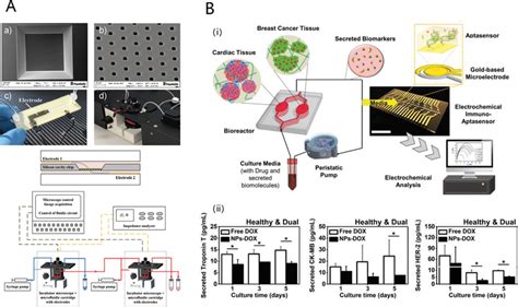 Drug Safety Evaluation In Tocs A Setup Of The Microfluidic Cartridge Download Scientific