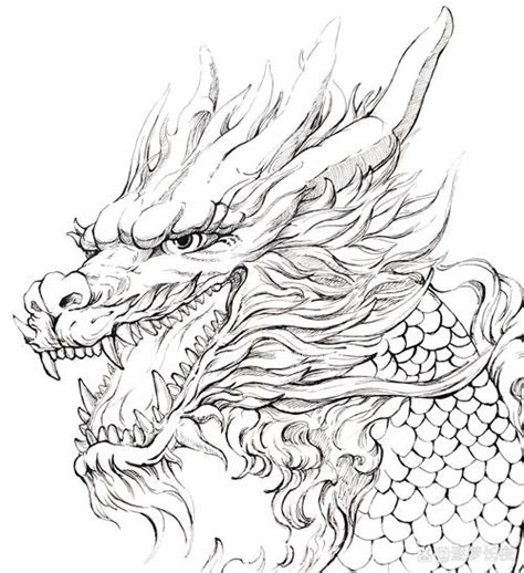 龙头简笔画模板 图文简单（高清19张） 简笔画图片大全