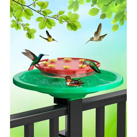 Hummingbird Feeders For Outdoors Big Ant Moat Perch With 8 Bee Guard