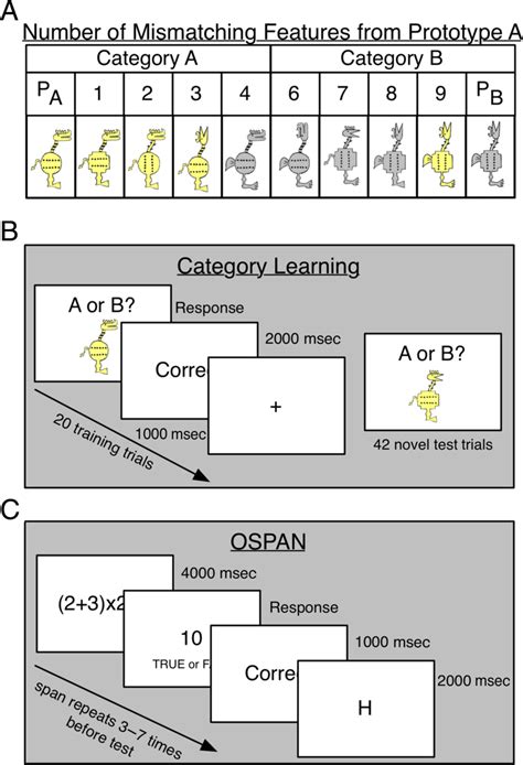 A Schematic Of The Category Learning And Memory Span Tasks A The