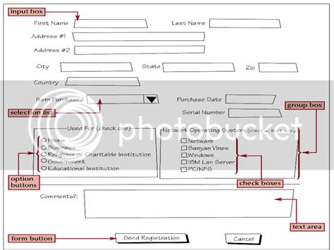 teaching basic html chapter 6 creating web page forms