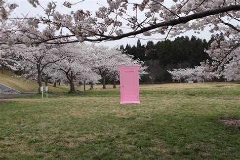 秋田趴趴走 【春意盎然🌸賞櫻景點】惣三郎沼公園 Facebook