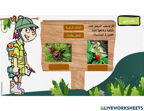 تعلم قبلي تصنيف النباتات Worksheet Live Worksheets