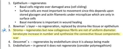 Lecture 4 Sum Up Flashcards Quizlet