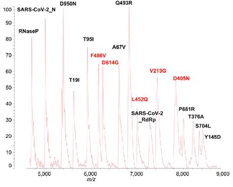 The Detection Results Of Sars Cov 2 Omicron Ba5 Variants Using The Ms