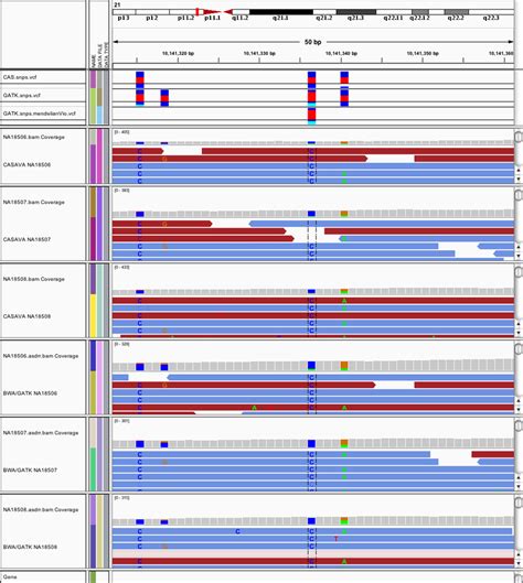 Mendelian Errors Made By Gatk The Figure Shows Igv Screenshots From Two