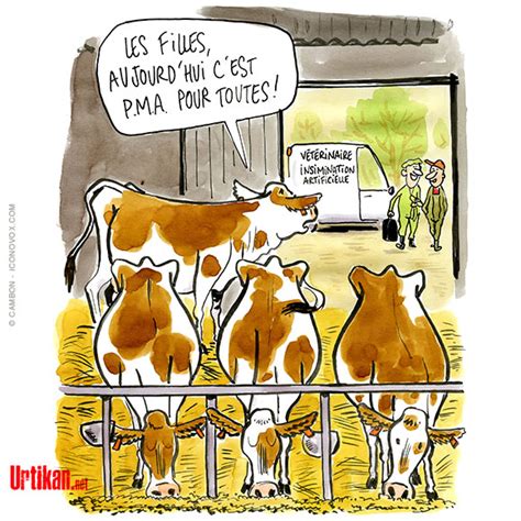 La PMA pour toutes en passe de franchir son premier obstacle à l