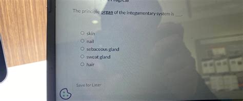 Solved The Principle Organ Of The Integumentary System