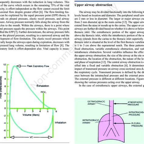 The Normal Flow Volume Curve Fev1 Forced Expiratory Volume In One