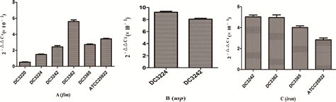 Effects Of Sub Minimum Inhibitory Concentrations Of Ciprofloxacin On