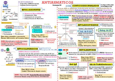 Antiasmaticospdf