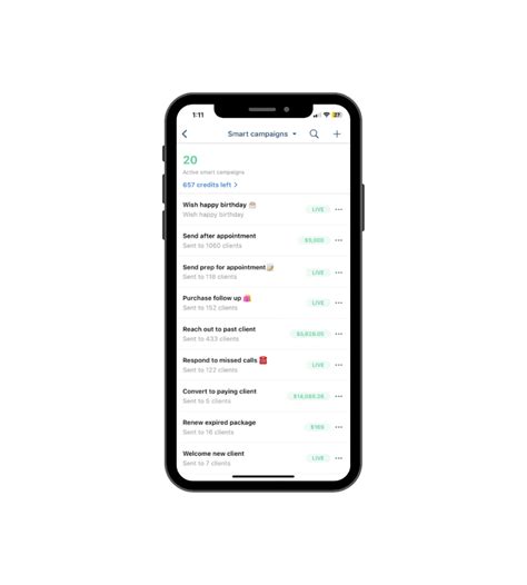 Pocketsuite For New Massage And Bodywork Professionals