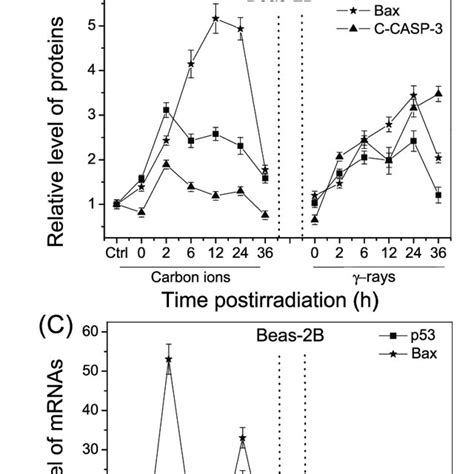Relative Expression Level Of Proteins And Mrnas In Beas 2b Cells Along Download Scientific