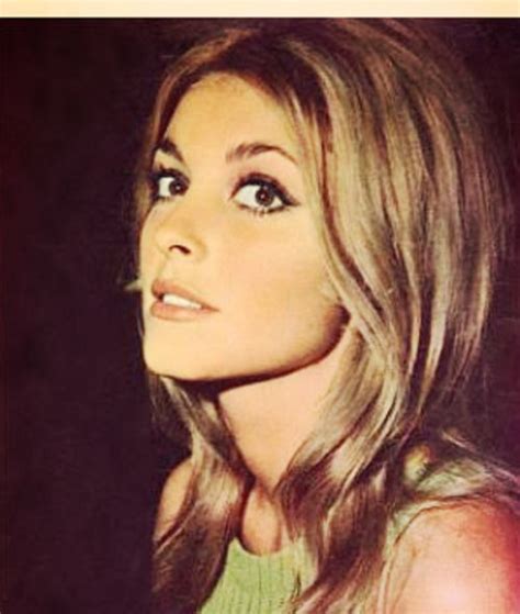 Sharon Tate S Photos Photos Sharon Tate Sharon Tate Style Celebrities