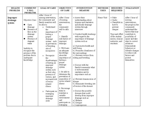 Inbound 802835490145052957 Health Problem Communit Y Nsg Problems