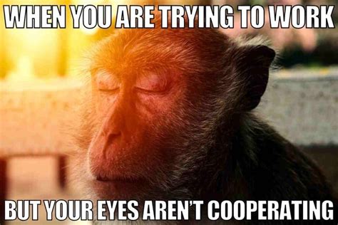 30 Hilarious Tired Memes For The Sleep Deprived