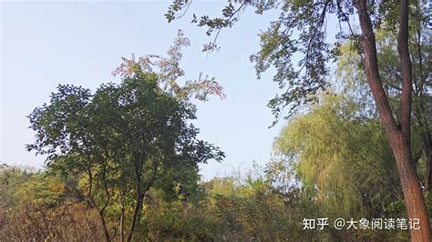 “无心生大用，有物不通神”的深刻含义 知乎