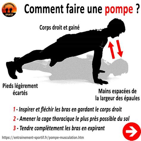 Musculation Des Bras Et Des Pectoraux