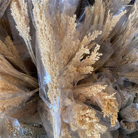 Bunga Kering Kecil Shop Tokopedia