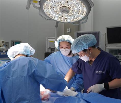세브란스병원 부정맥 전문의 대상 S Icd 시술 교육 아주경제