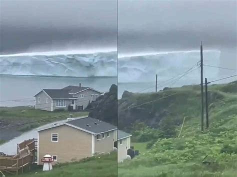 ¿qué Se Sabe Del Iceberg Que Llego A Las Costas De Canadá